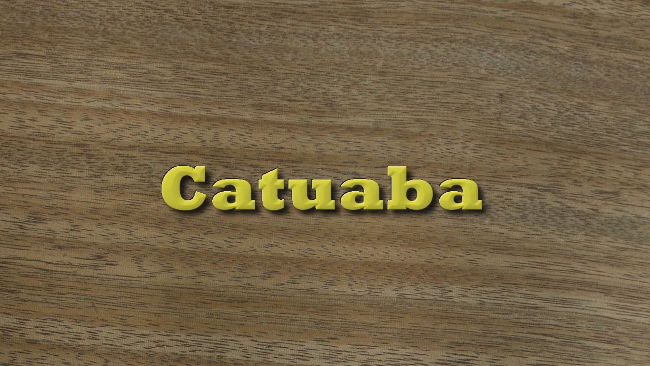 Catuaba - Oficina 44